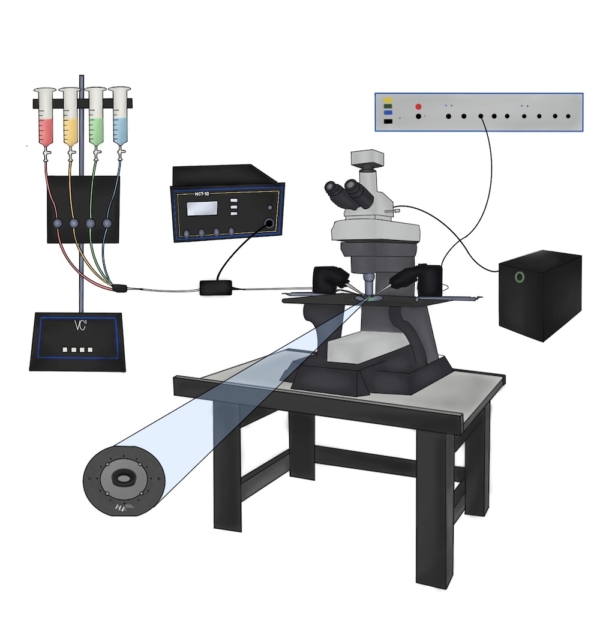 Microscope Set- Up - ALA Scientific